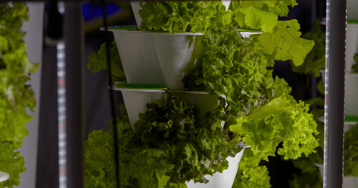 Another Gardening Technique: Hydroponics (Soil-Free Growing Made Simpl ...