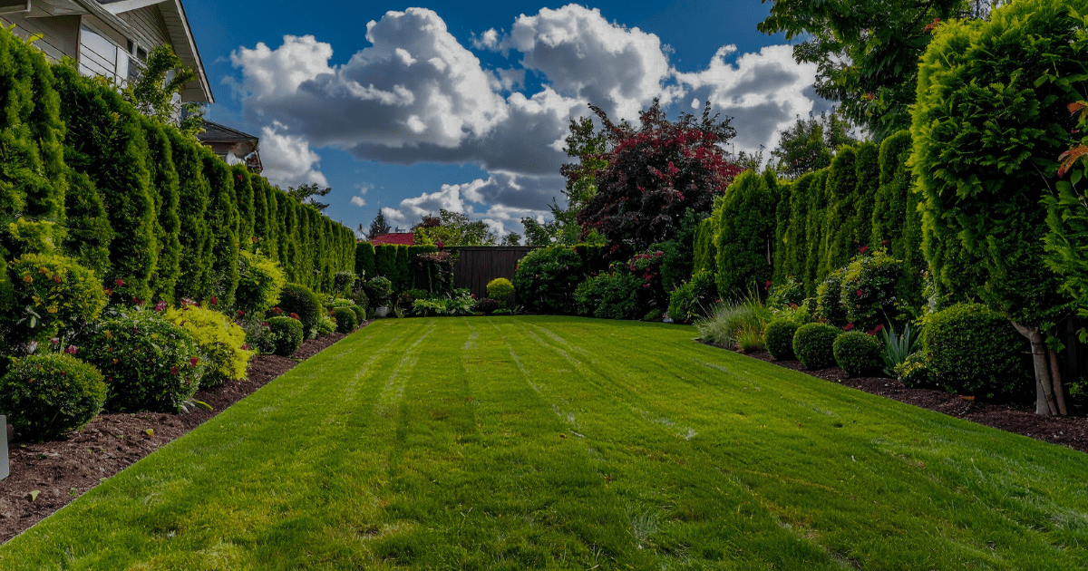 Ritchie’s Landscape Services Are Back (and You Don’t Need a Huge Proje ...