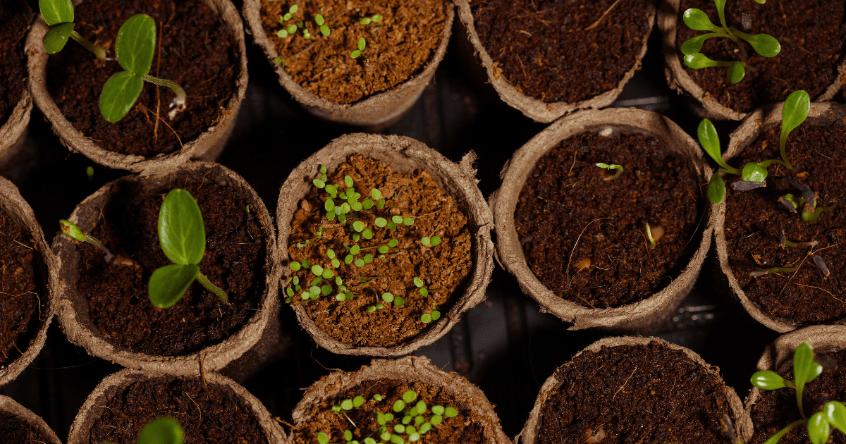 Seed to Harvest Made Easy - Ritchie Feed & Seed Inc.