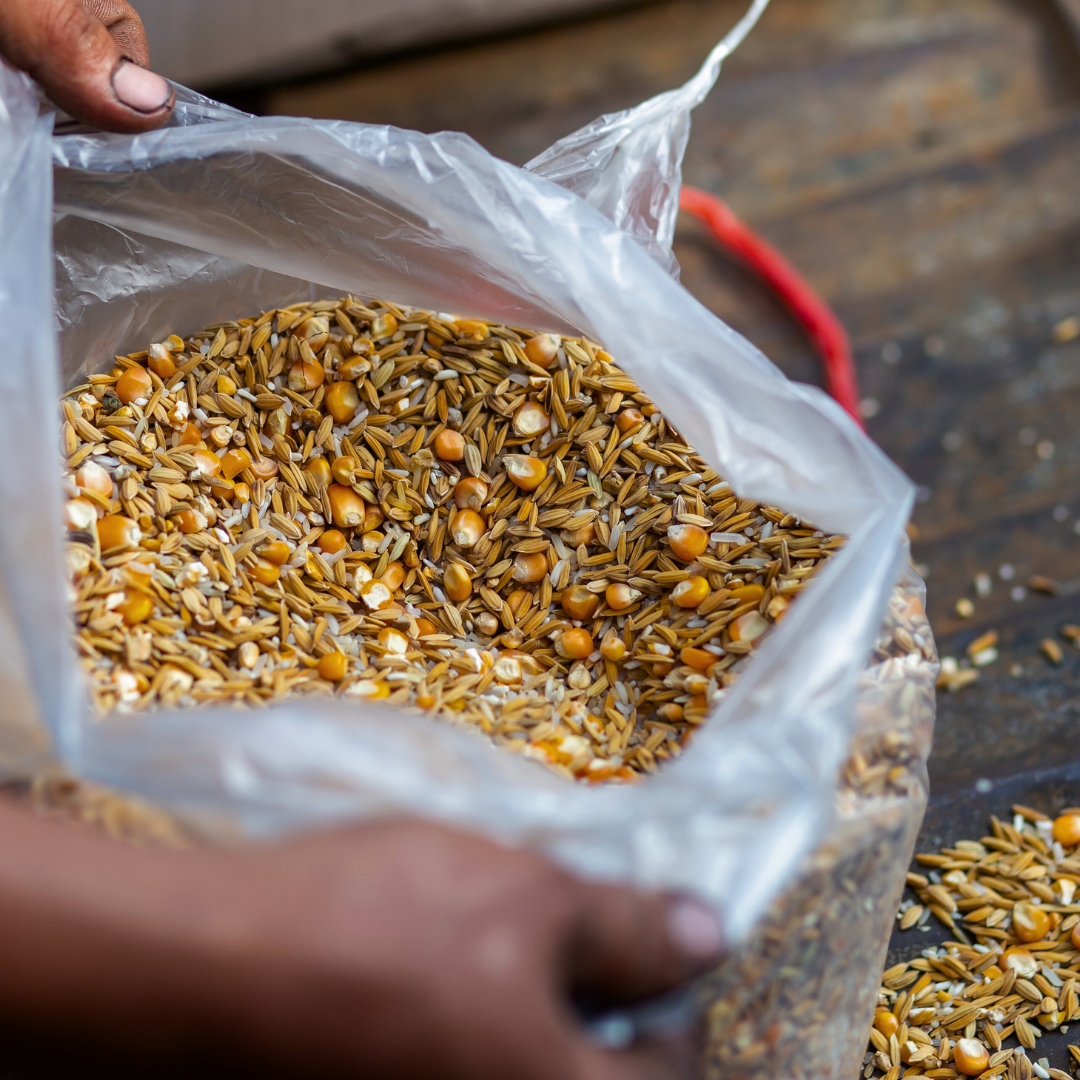 Ritchie Feed & Seed Inc.