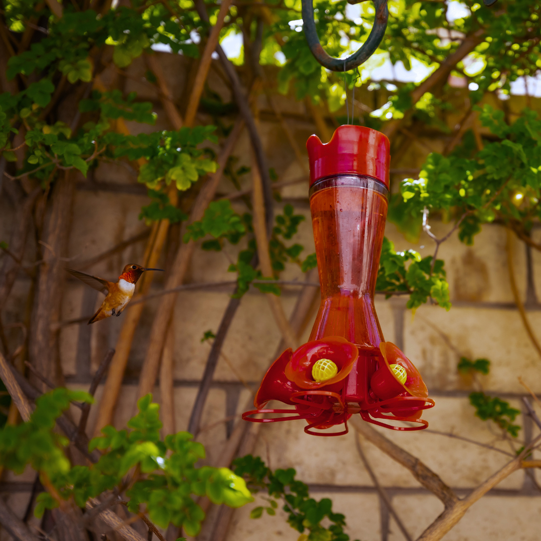 Ritchie Feed & Seed Inc.