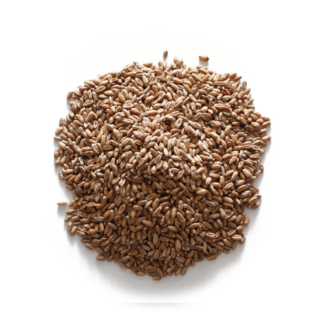 Hard Red Wheat 50lbs - Ritchie Feed & Seed Inc.