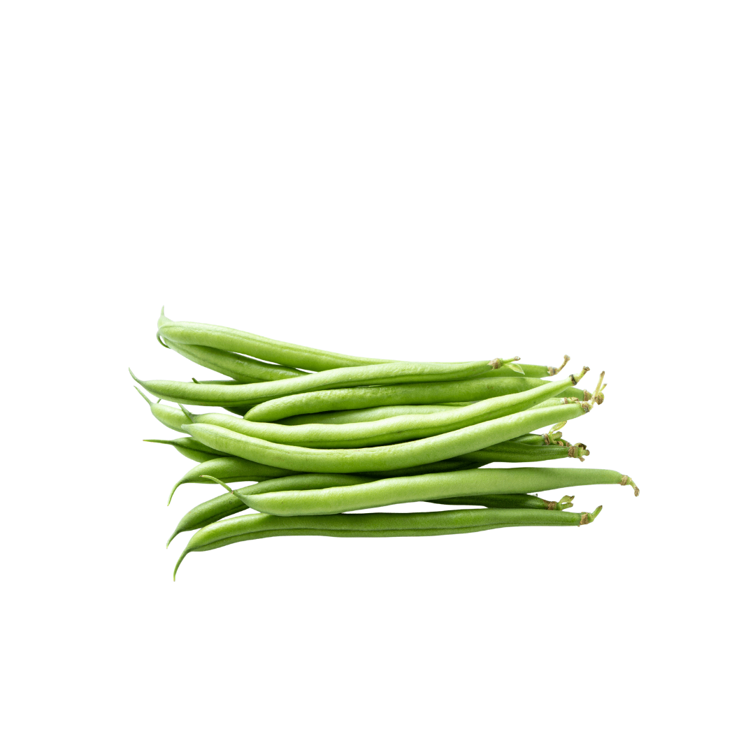 Beans Mascotte Seeds | West Coast Seeds - Ritchie Feed & Seed Inc.