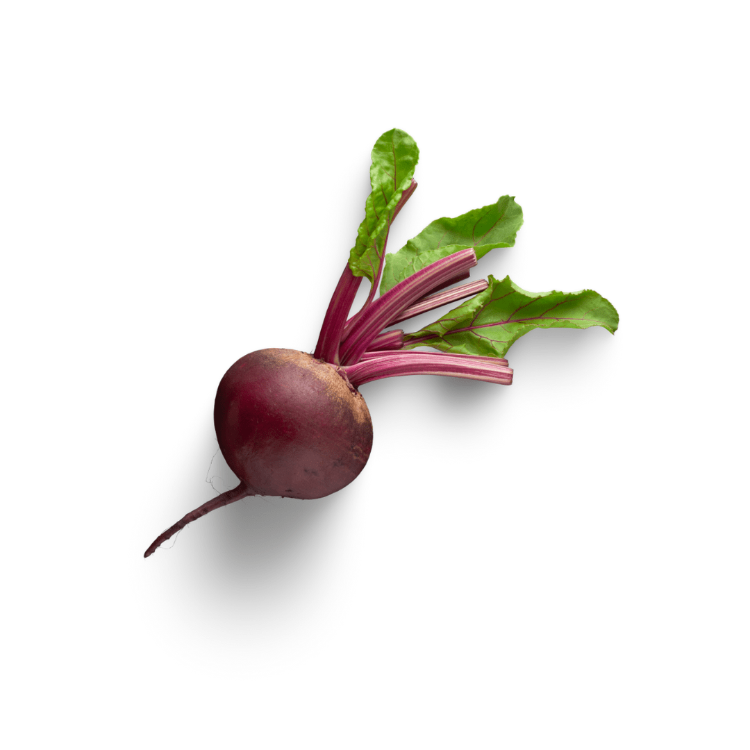 Beets Detroit Dark Red Seeds | Northern Seeds - Ritchie Feed & Seed Inc.