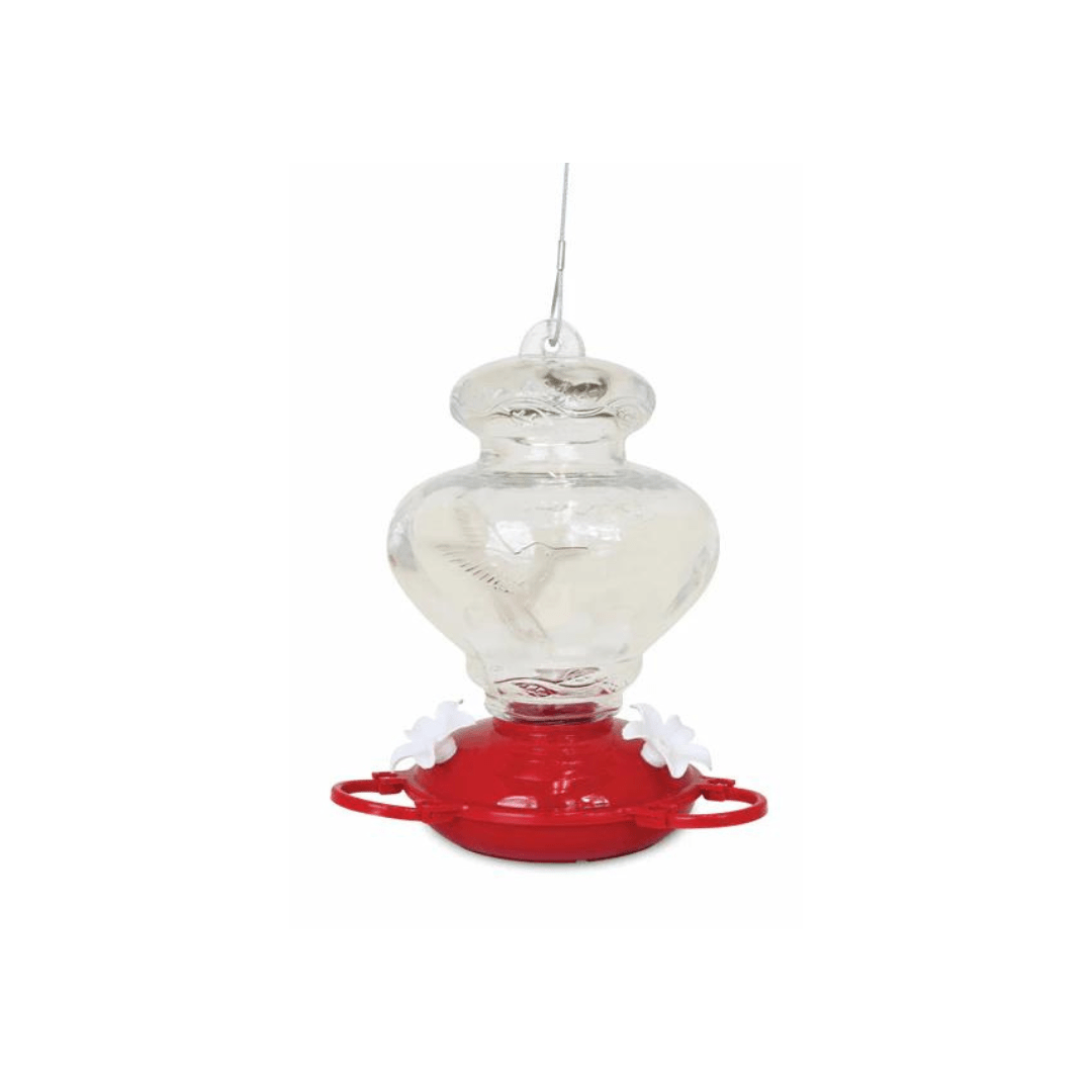 Embossed Hummingbird Glass Feeder - Ritchie Feed & Seed Inc.