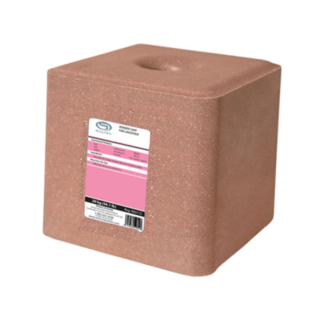 Iodized Red Salt Lick Block 20kg - Ritchie Feed & Seed Inc.