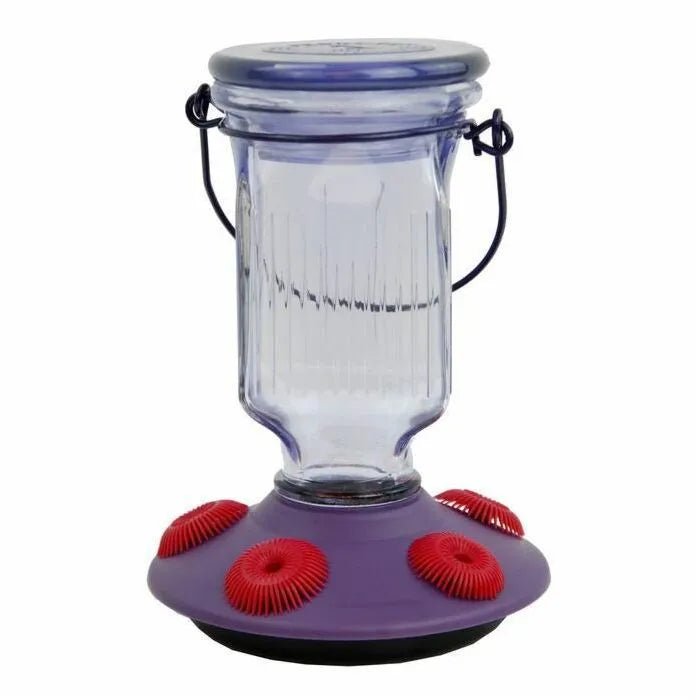 Lavender Field Top-Fill Glass Hummingbird Feeder | Perky-Pet® - Ritchie ...