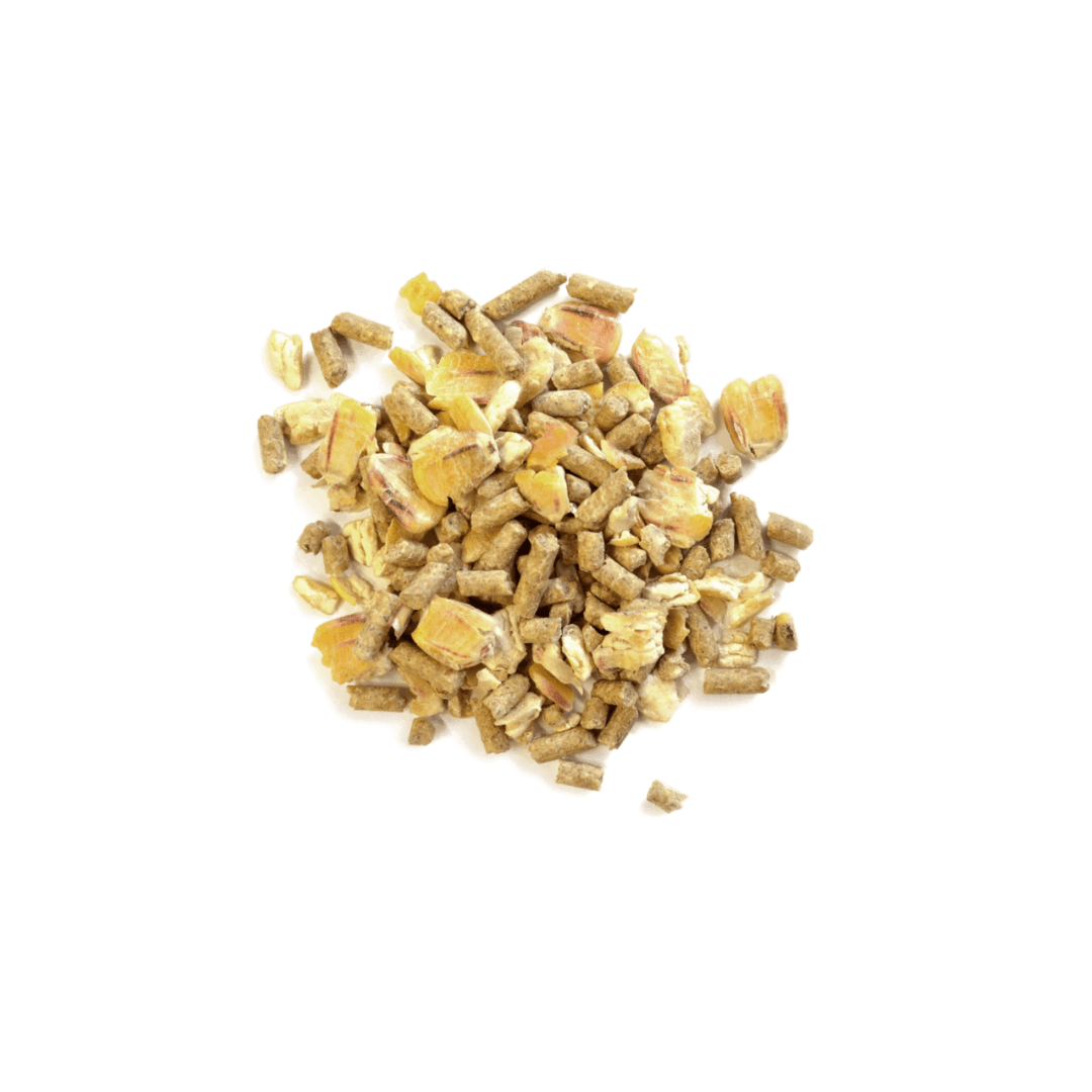 Masterfeeds 16% Dairy Ration (Textured) 25kg - Ritchie Feed & Seed Inc.