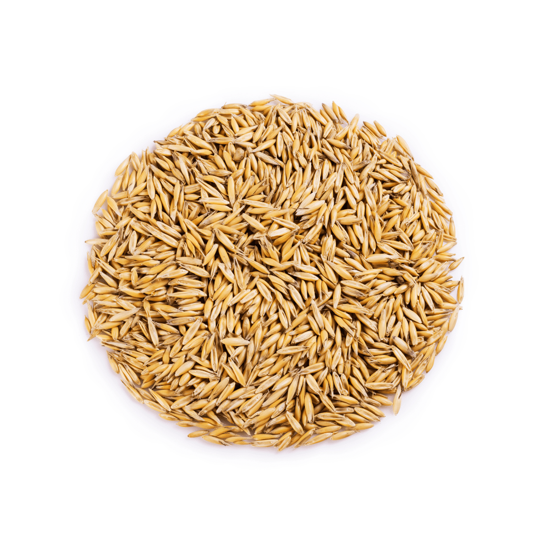 Masterfeeds Saddle Whole Oats 25kg - Ritchie Feed & Seed Inc.