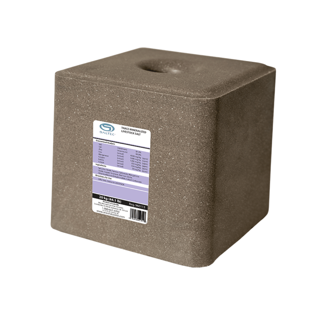 Mineralized Brown Salt Lick Block 20kg - Ritchie Feed & Seed Inc.