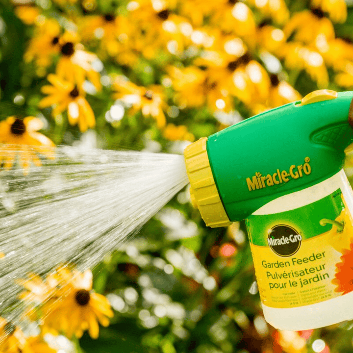 Miracle gro sprayer store