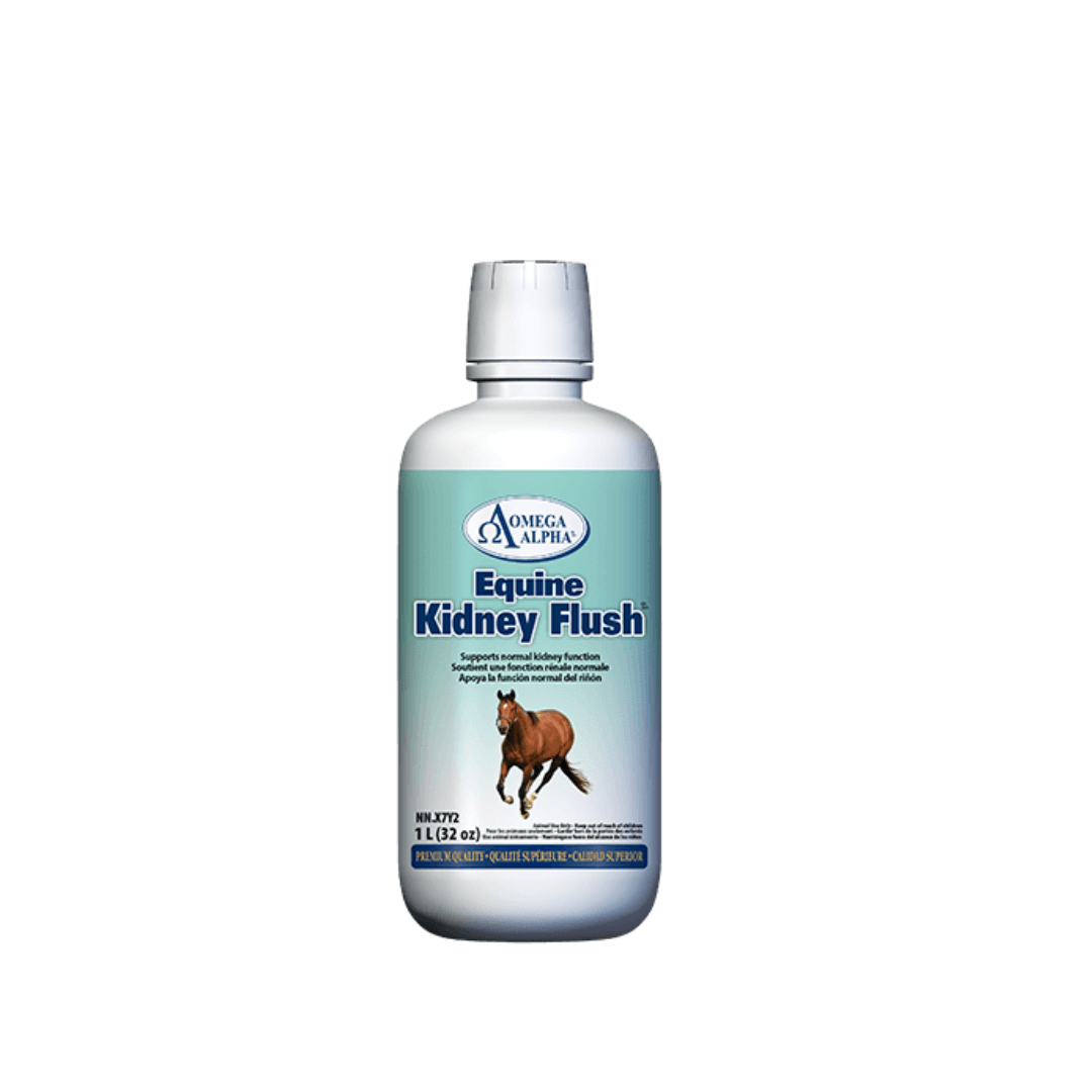 Omega Alpha® Equine Kidney Flush® Urinary & Kidney Support 1L - Ritchie ...