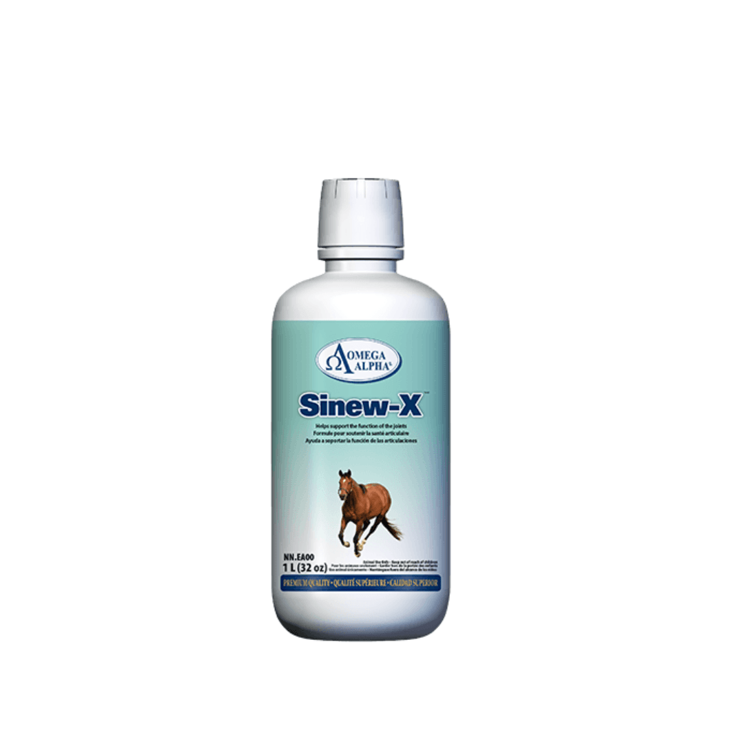 Omega Alpha® Sinew-X® Joint & Connective Tissue Support 1L - Ritchie ...
