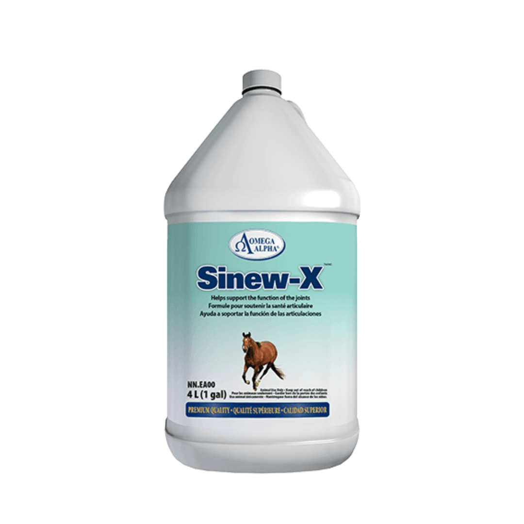 Omega Alpha® Sinew-X® Joint & Connective Tissue Support 4L - Ritchie ...
