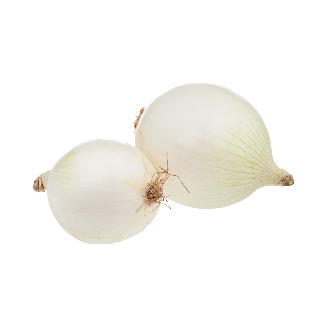 Onion White Sweet Spanish Seeds | OSC Seeds - Ritchie Feed & Seed Inc.