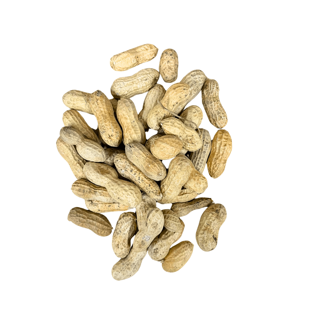 Peanuts In Shell [3 sizes] - Ritchie Feed & Seed Inc.