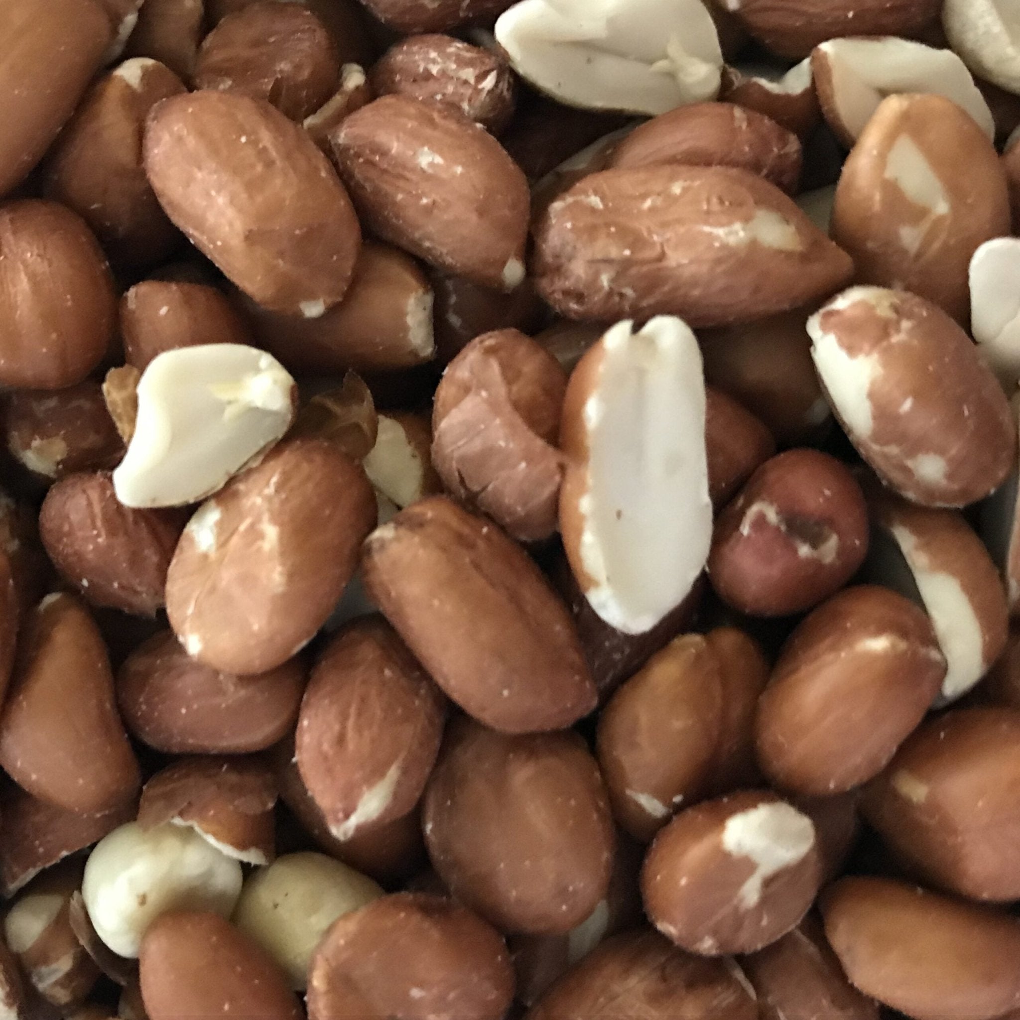 Peanuts Out of Shell [4 sizes] - Ritchie Feed & Seed Inc.