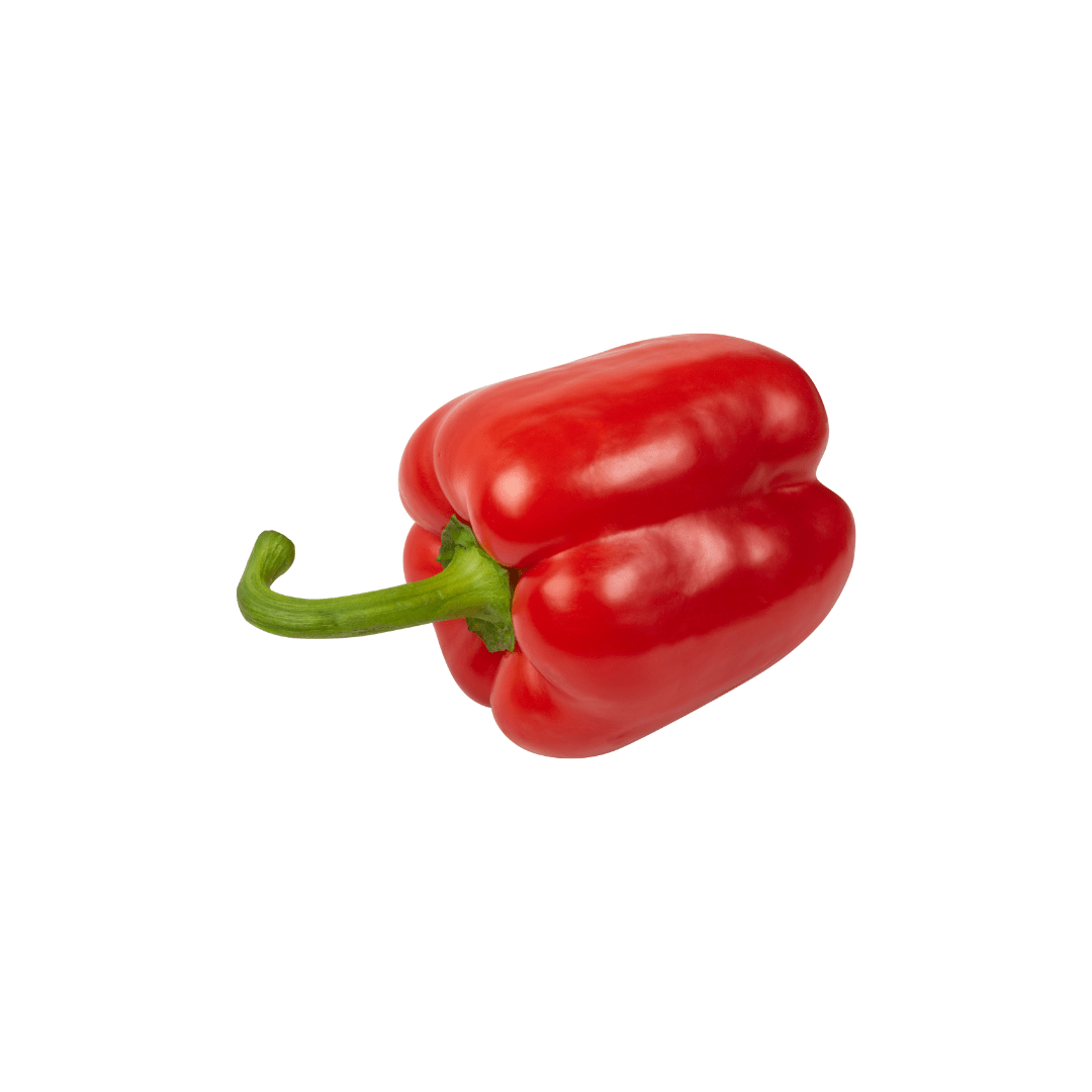 Pepper Bell Red Quadrato Rosso D’Asti Seeds | Weston Seeds - Ritchie ...