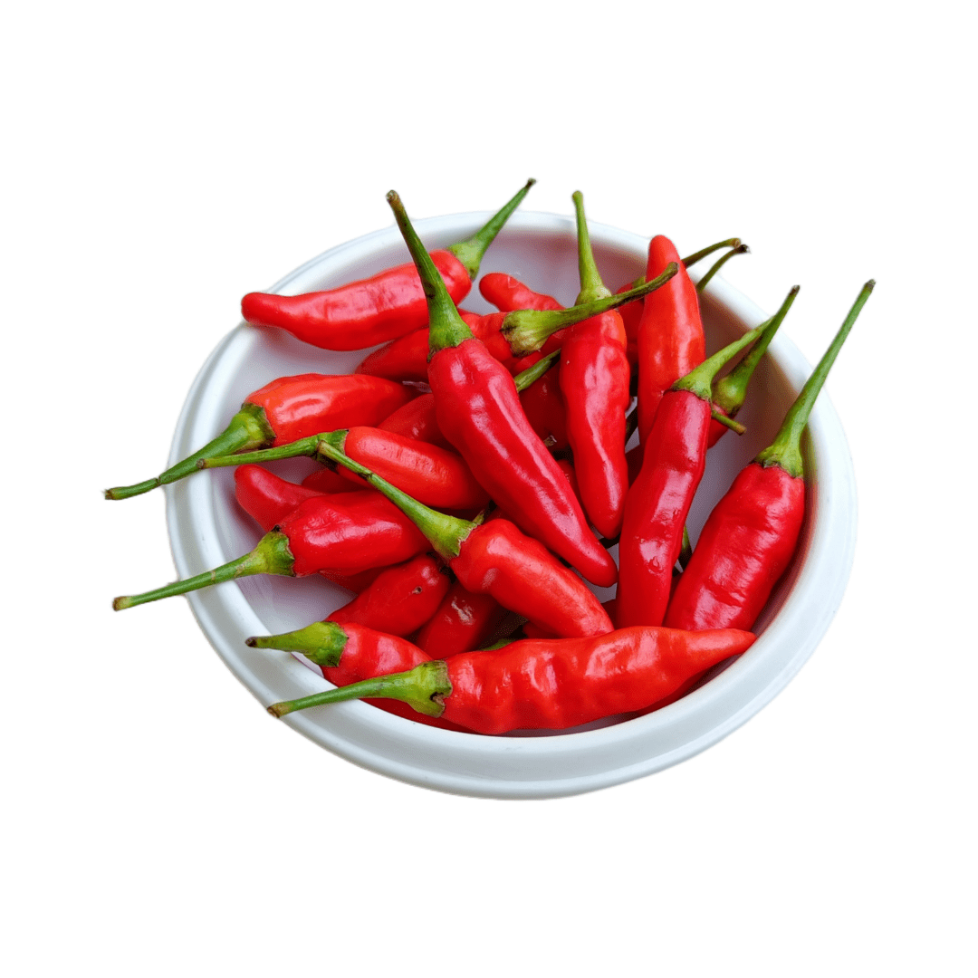 Pepper Long Red Cayenne Seeds | OSC Seeds - Ritchie Feed & Seed Inc.