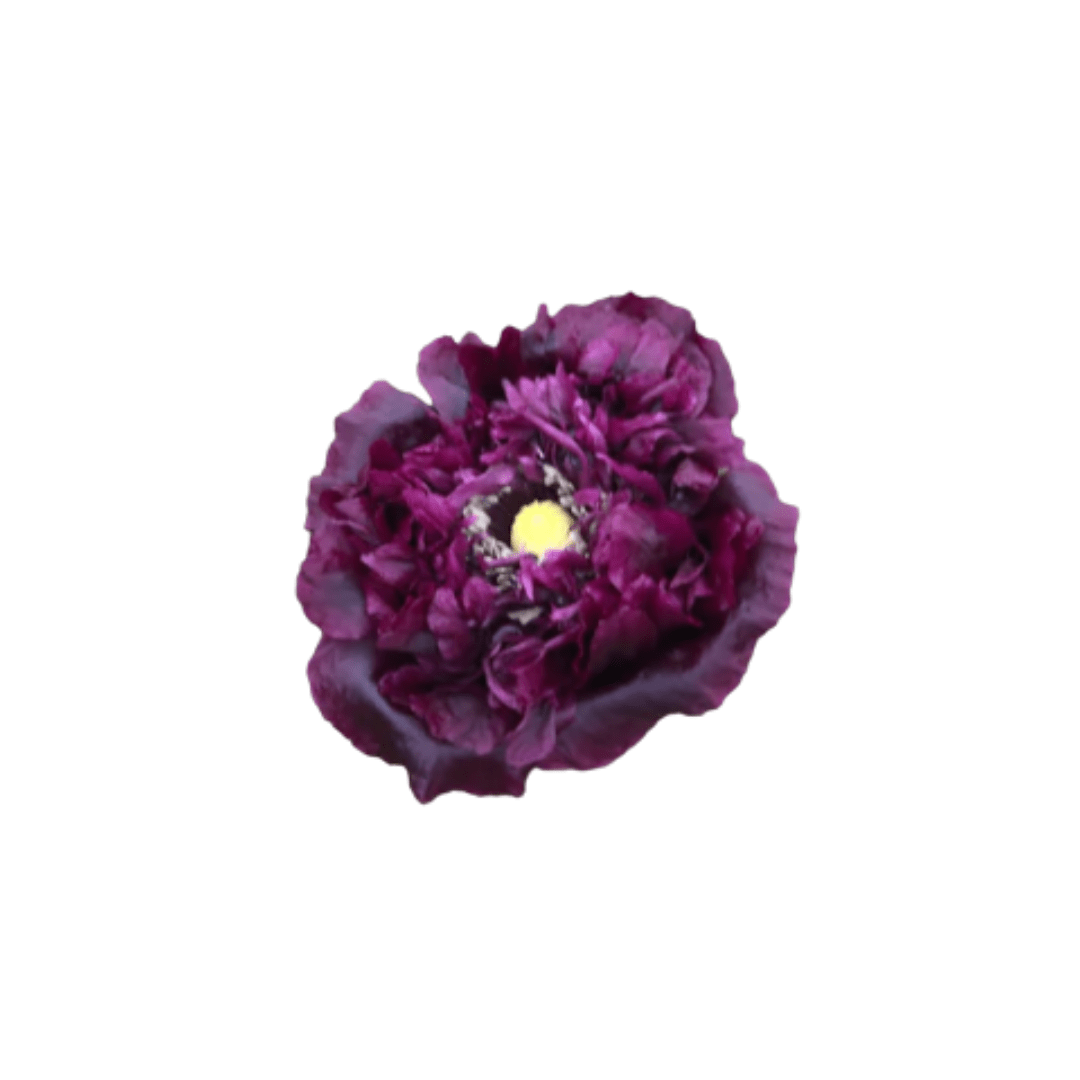 Poppy Black Magic Seeds | Northern Seeds - Ritchie Feed & Seed Inc.