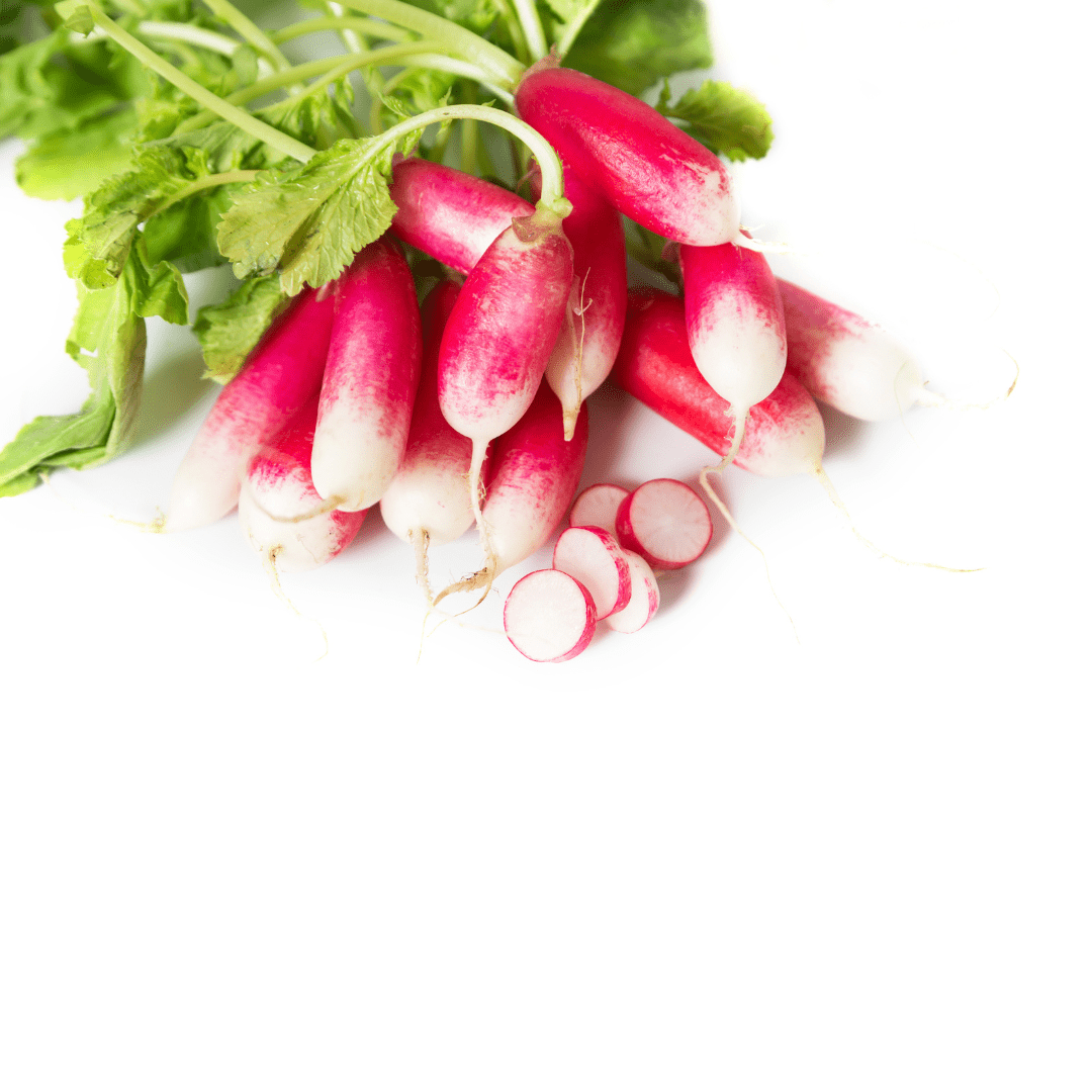 Radish French Tip 2 Punta Bianca Rosso Seeds | Weston Seeds - Ritchie ...