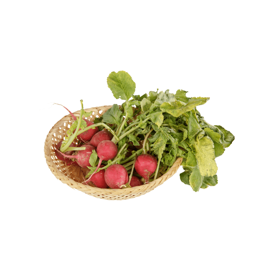 Radish Red Cherry Belle Seeds | Weston Seeds - Ritchie Feed & Seed Inc.