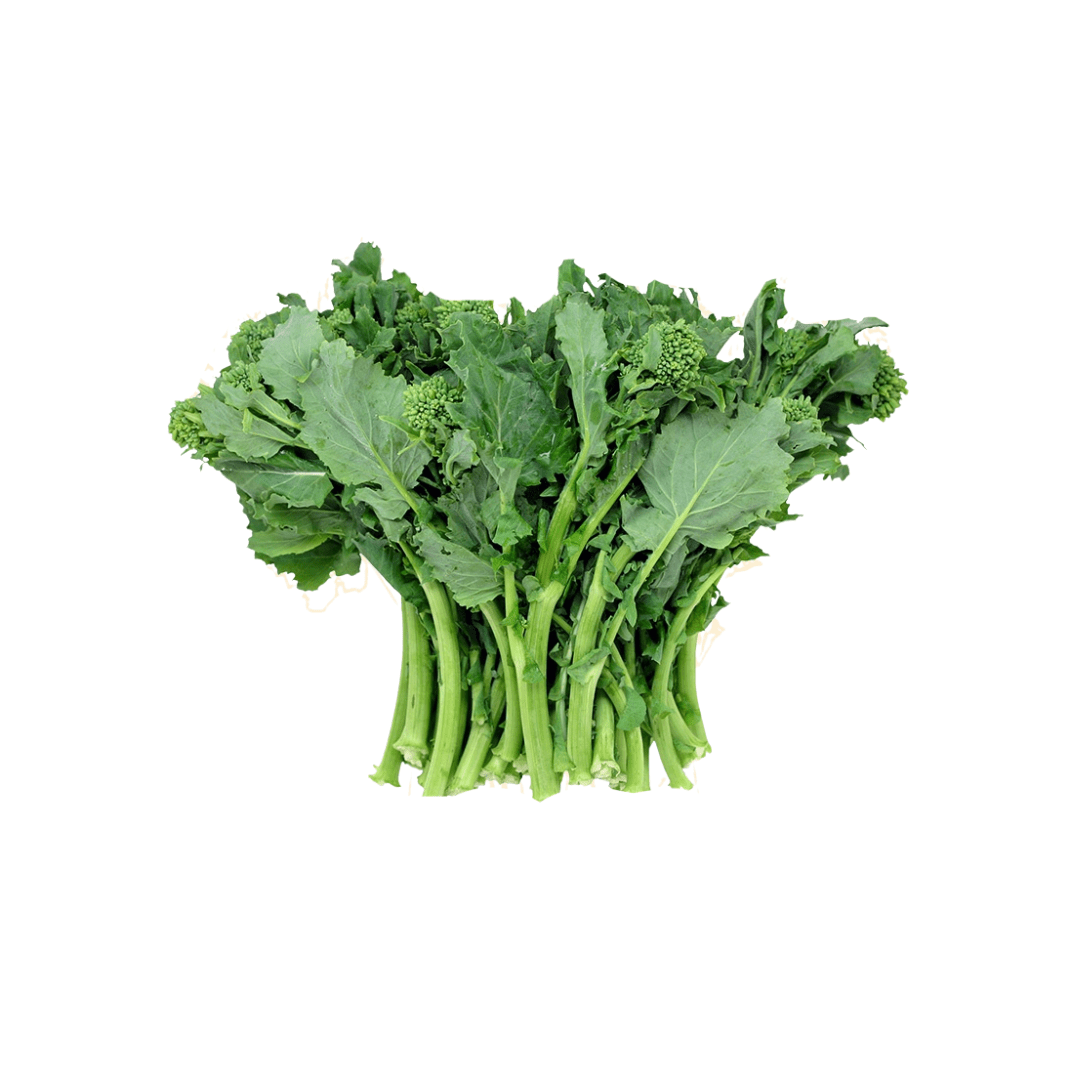 Rapini Seeds | Northern Seeds - Ritchie Feed & Seed Inc.