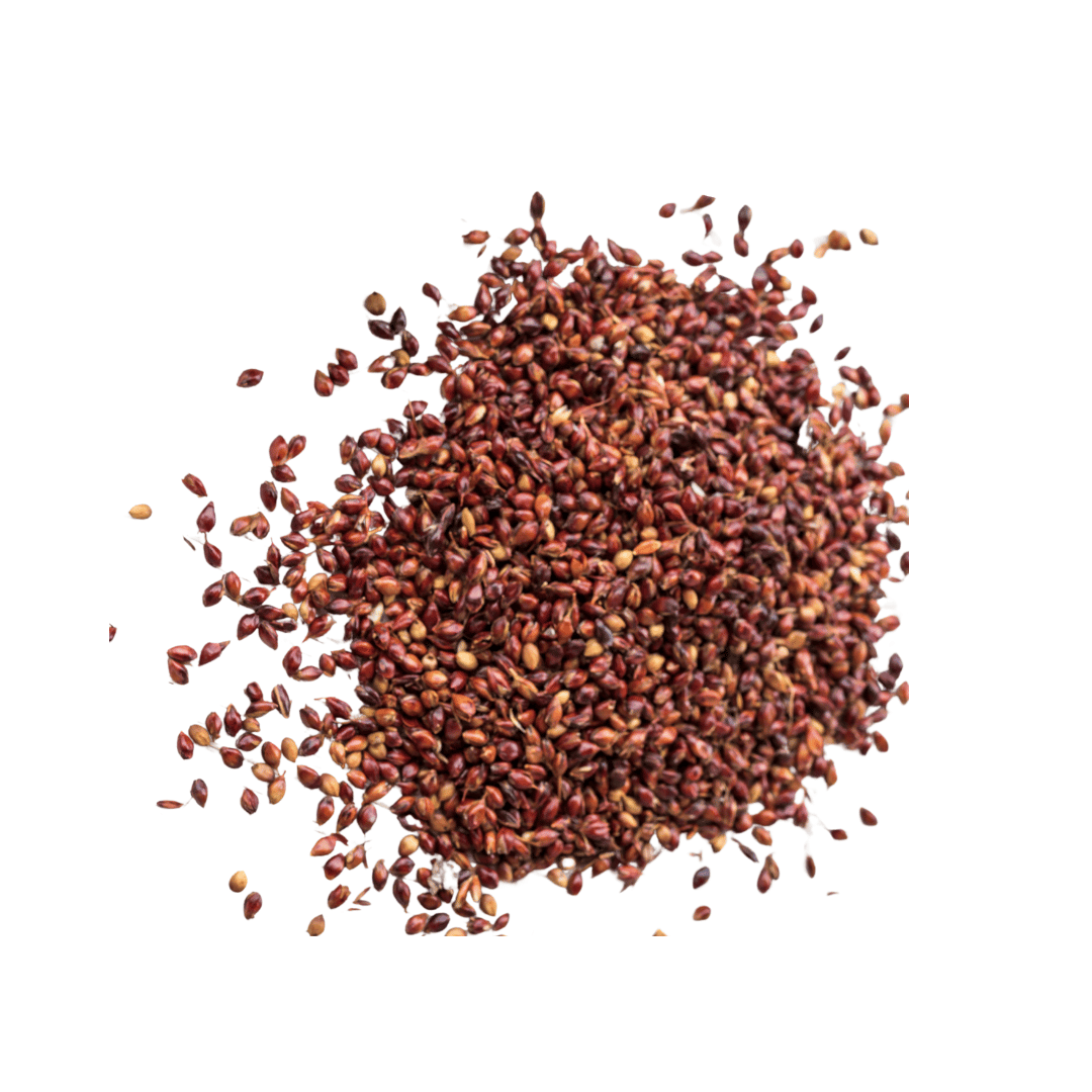 Red Millet [2 sizes] - Ritchie Feed & Seed Inc.