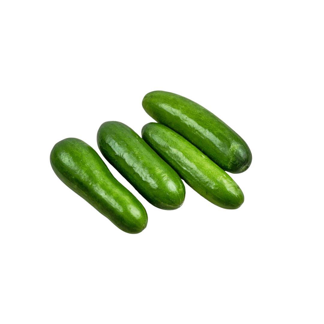 Cucumbers Patio Snacker F1 Seeds | West Coast Seeds - Ritchie Feed ...