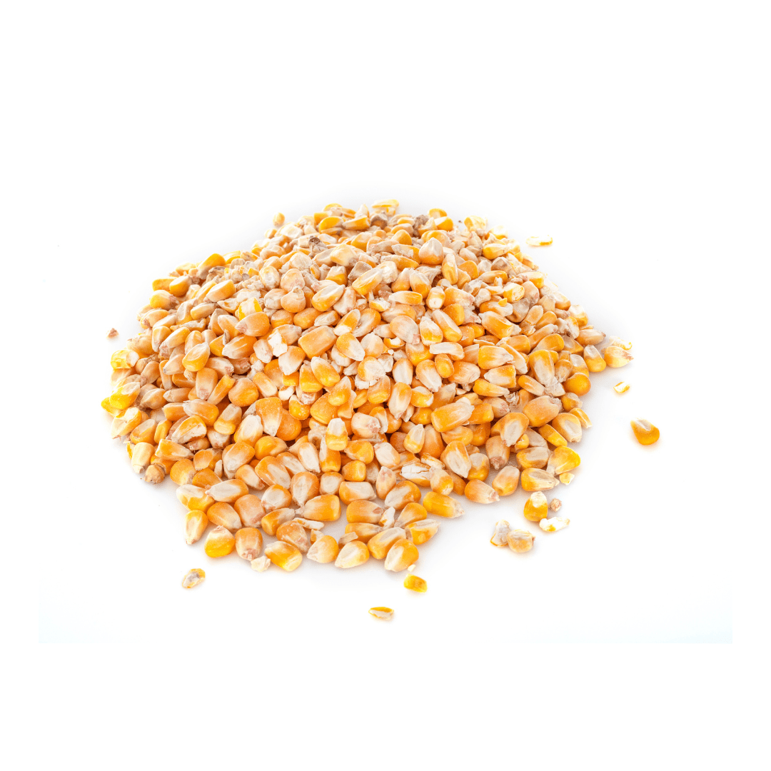 Armstrong Whole Corn 25kg - Ritchie Feed & Seed Inc.