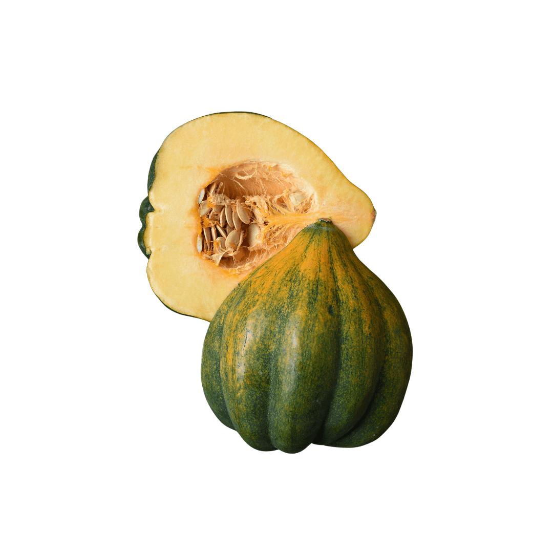 Winter Squash Table King Acorn Seeds | Northern Seeds - Ritchie Feed ...