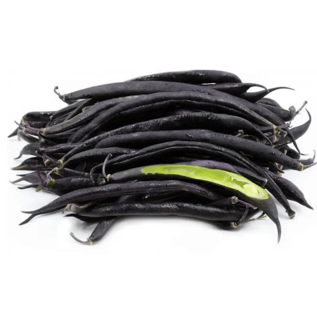 Bean Velour Dwarf French (B) Seeds | McKenzie Seeds - Ritchie Feed ...