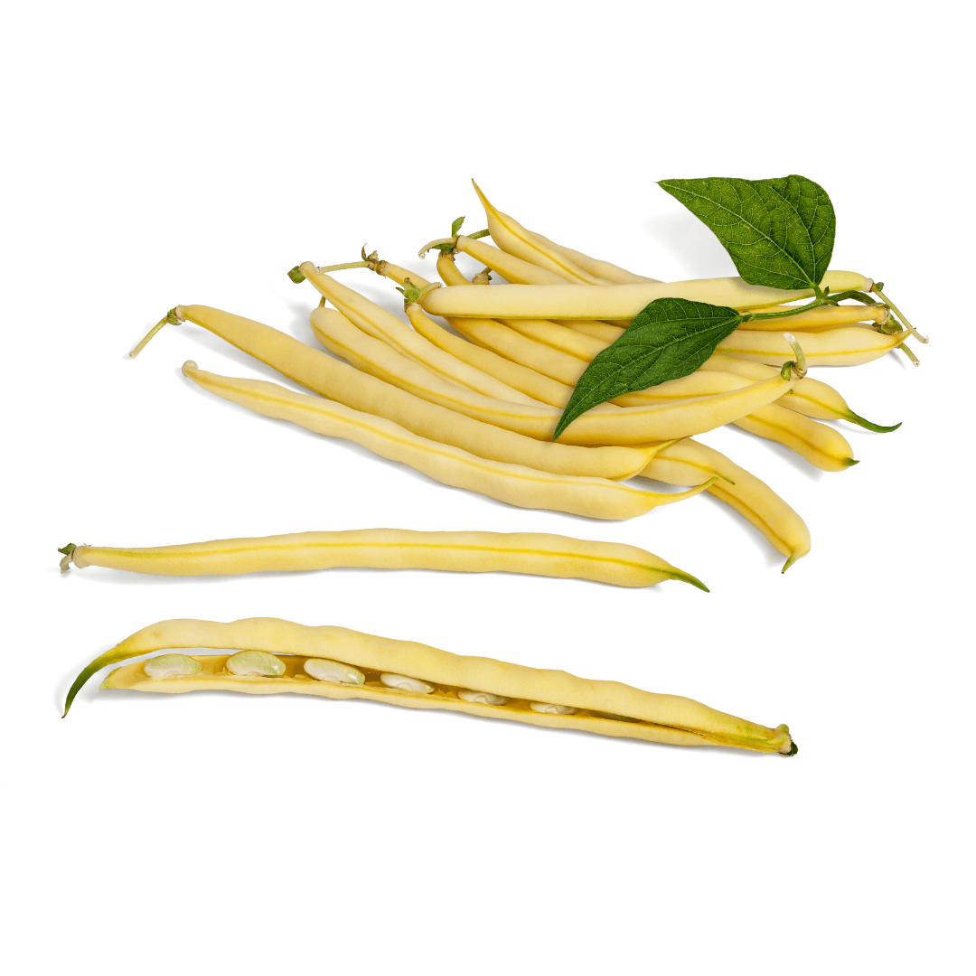 Beans Brittle Wax Yellow Seeds - Ritchie Feed & Seed Inc.