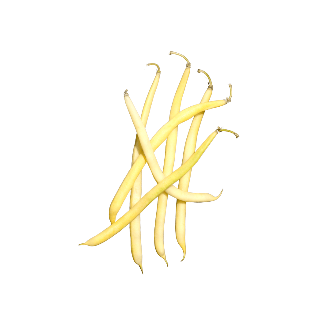 Beans Carson Seeds | West Coast Seeds - Ritchie Feed & Seed Inc.