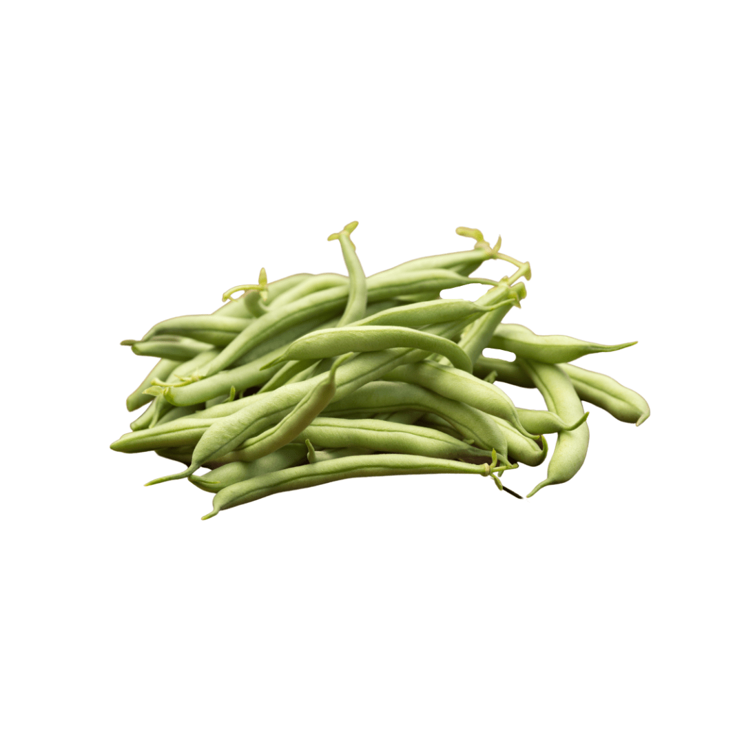 Bean Fortex Filet Seeds | West Coast Seeds - Ritchie Feed & Seed Inc.