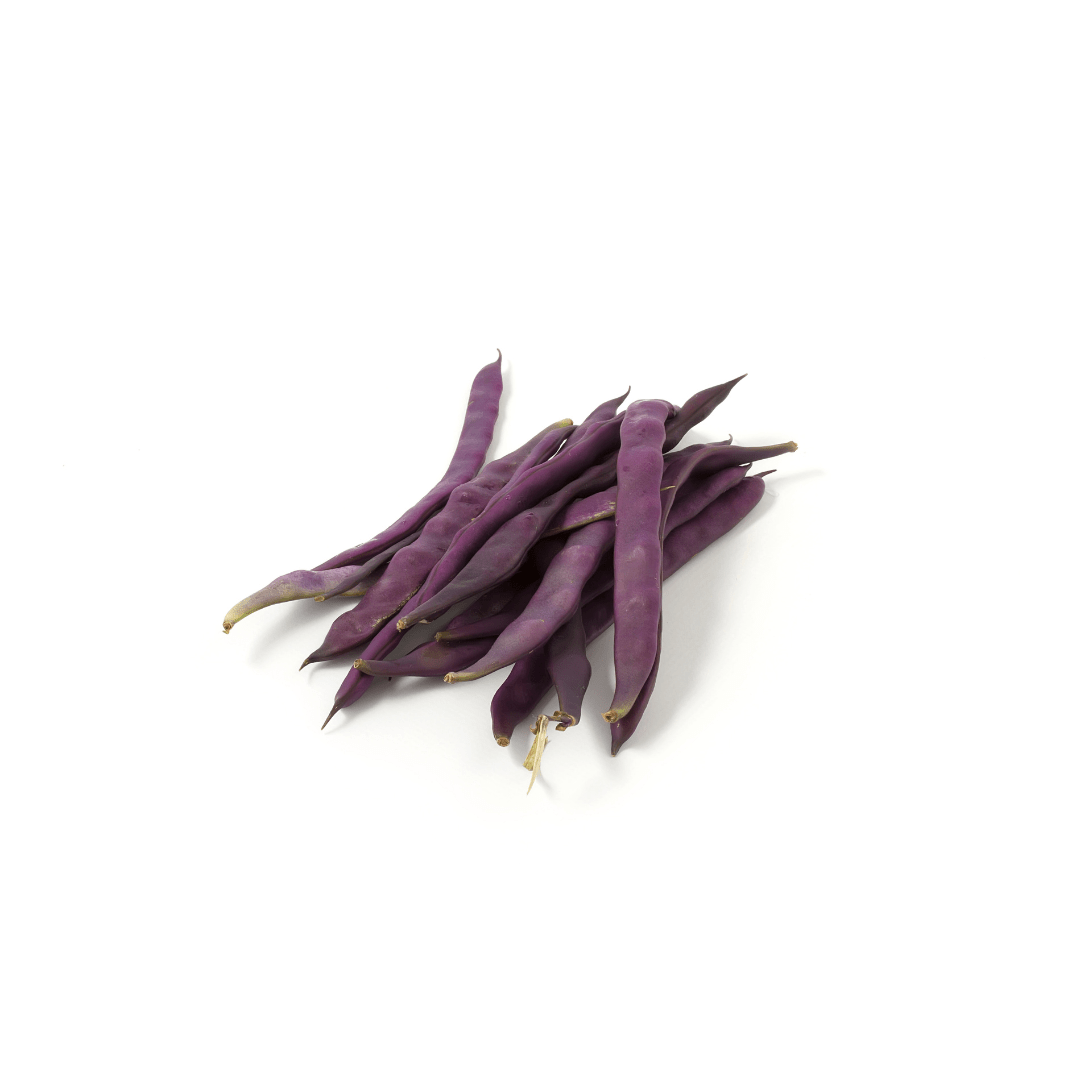 Bean Purple Peacock Seeds | West Coast Seeds - Ritchie Feed & Seed Inc.