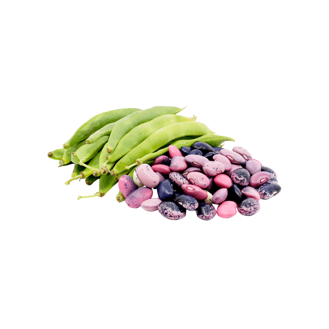 Beans Scarlet Emperor Seeds | West Coast Seeds - Ritchie Feed & Seed Inc.
