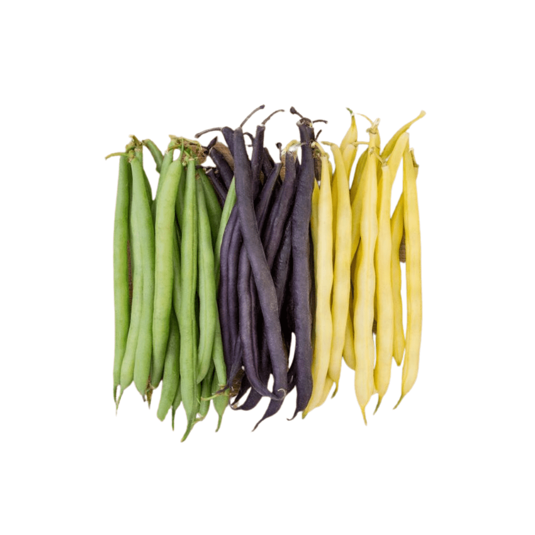 Beans Tricolour Blend Seeds | West Coast Seeds - Ritchie Feed & Seed Inc.
