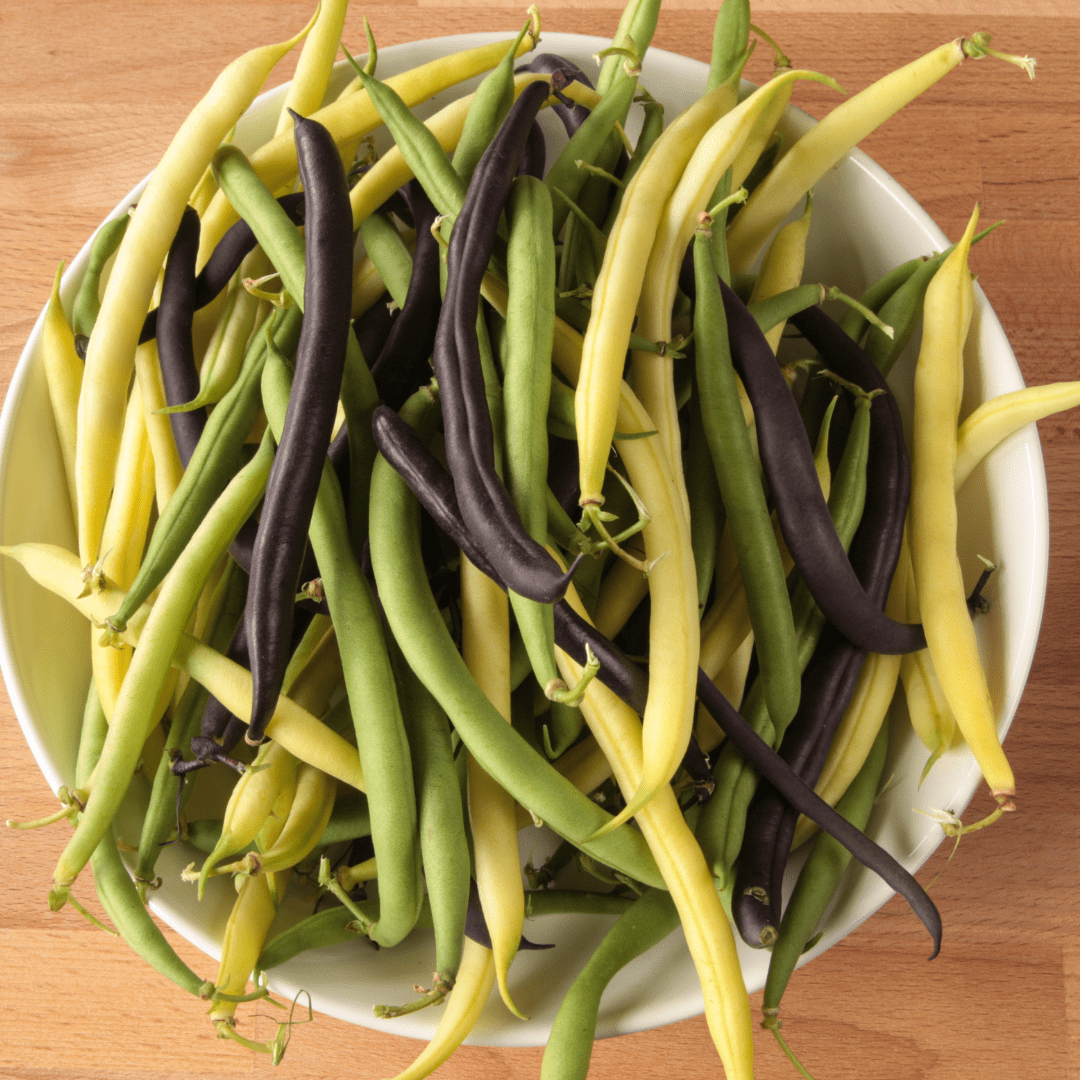 Bean Tricolour Blend Seeds | West Coast Seeds - Ritchie Feed & Seed Inc.