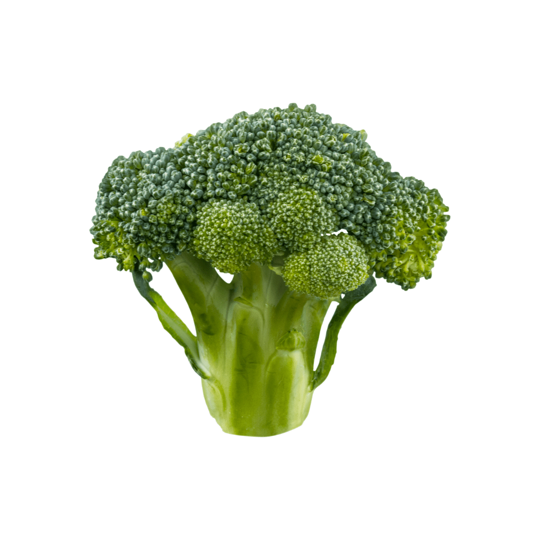 Broccoli Green Magic Seeds | West Coast Seeds - Ritchie Feed & Seed Inc.