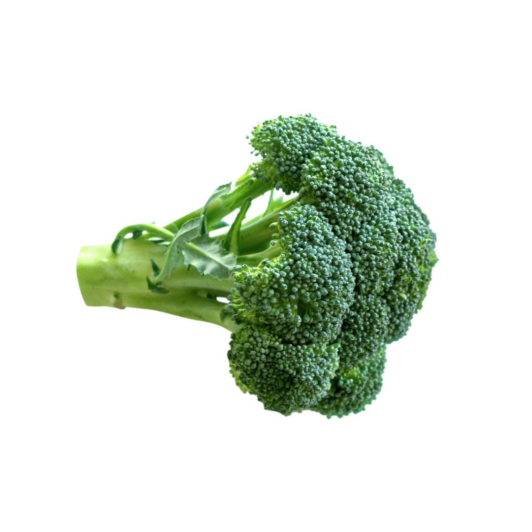 Broccoli Gypsy F1 Seeds | West Coast Seeds - Ritchie Feed & Seed Inc.