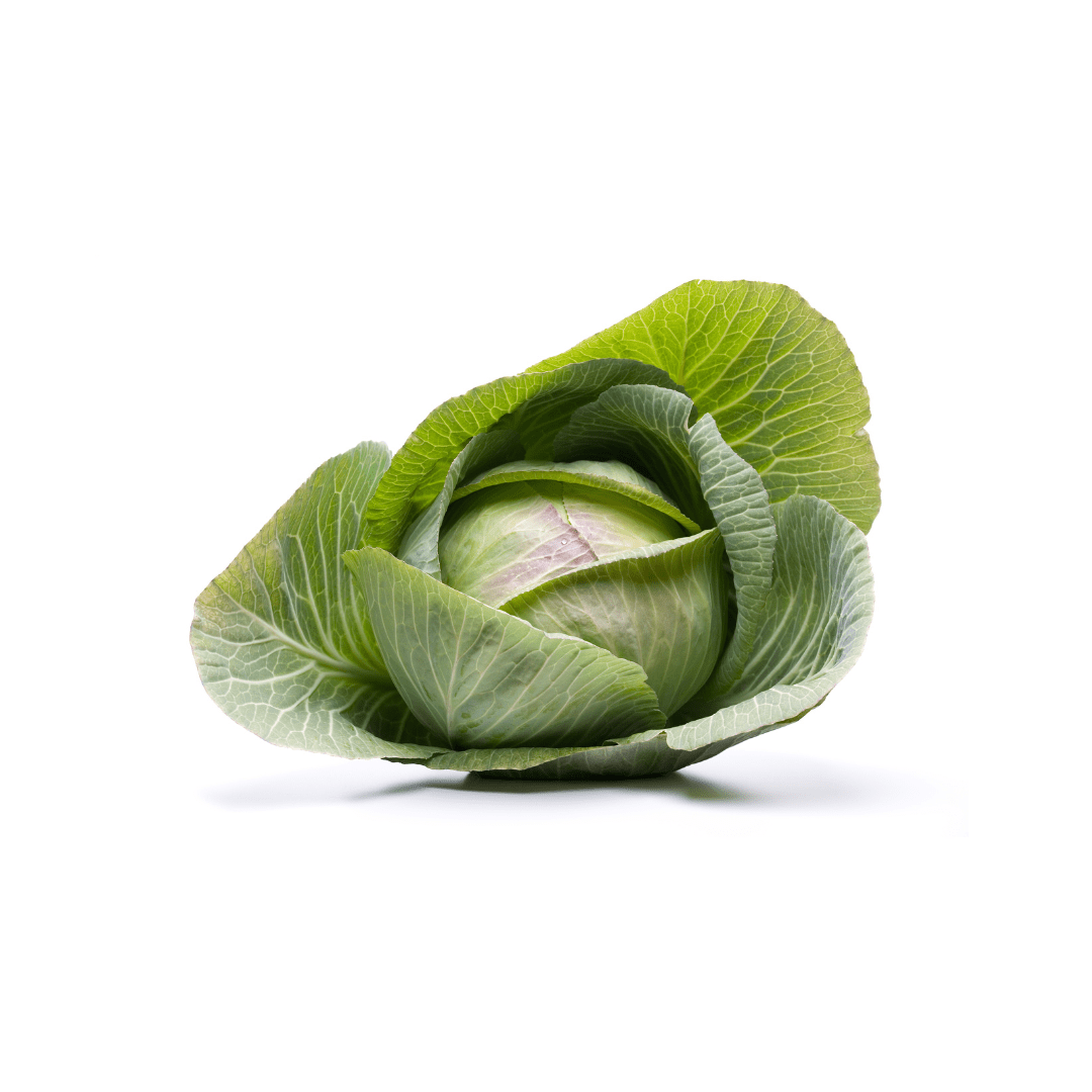 Cabbage Charmant Seeds | West Coast Seeds - Ritchie Feed & Seed Inc.
