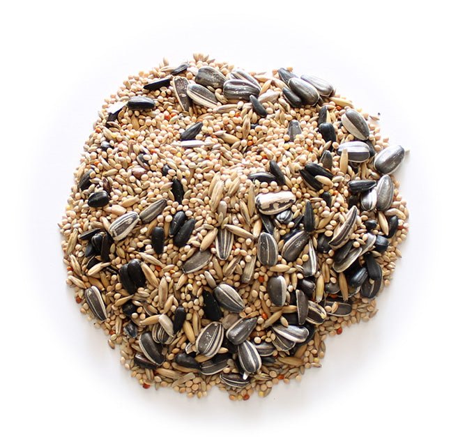 Cockatiel Bird Seed Mix 18kg - Ritchie Feed & Seed Inc.