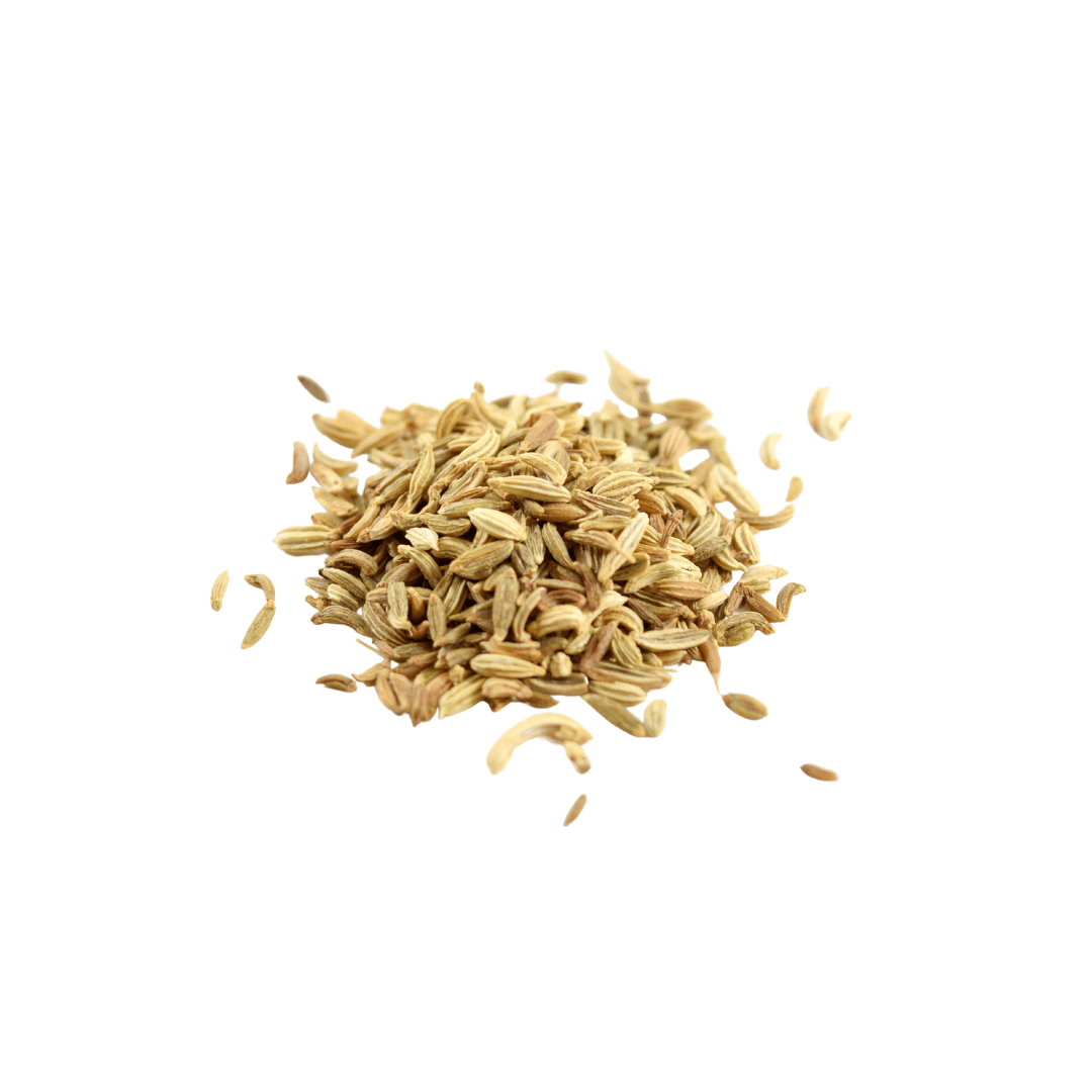 Fennel ORGANIC Sprouting Seeds | Weston Seeds - Ritchie Feed & Seed Inc.