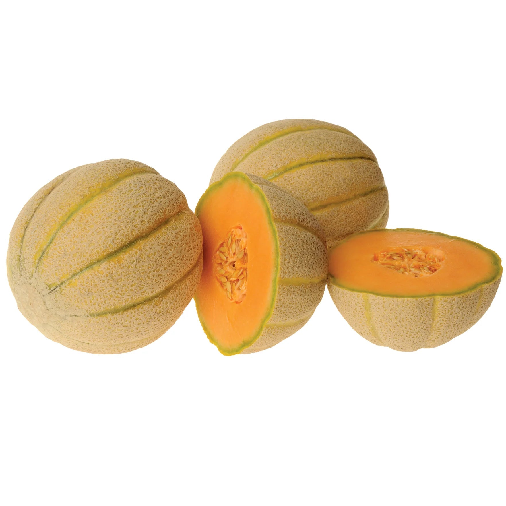 Cantaloupe Halona Hybrid Seeds | OSC Seeds - Ritchie Feed & Seed Inc.