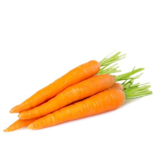 Carrot Nantes Coreless Seeds | OSC Seeds - Ritchie Feed & Seed Inc.