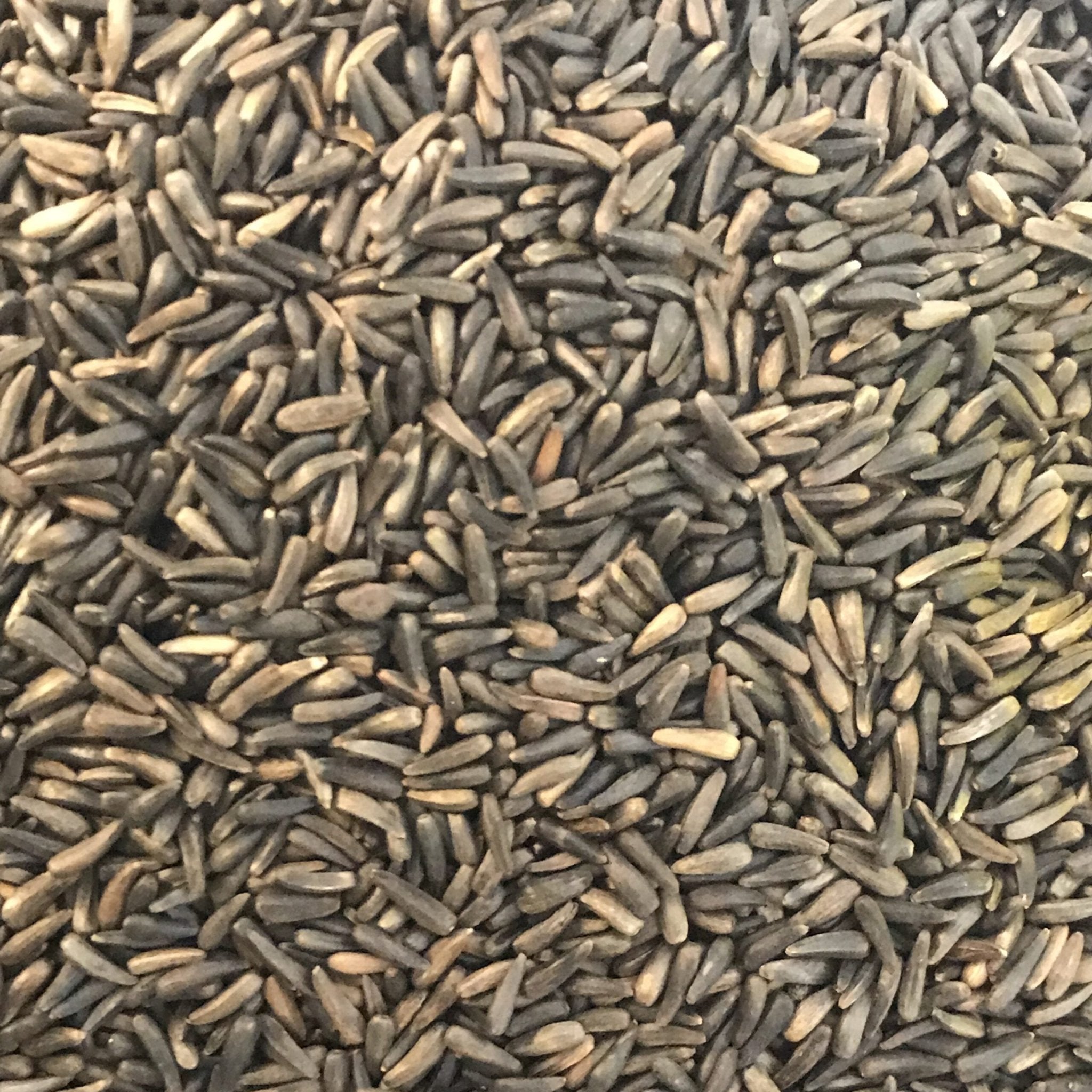 Nyjer Seed - Ritchie Feed & Seed Inc.