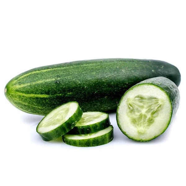 Cucumber Raider Hybrid Seeds - Ritchie Feed & Seed Inc.